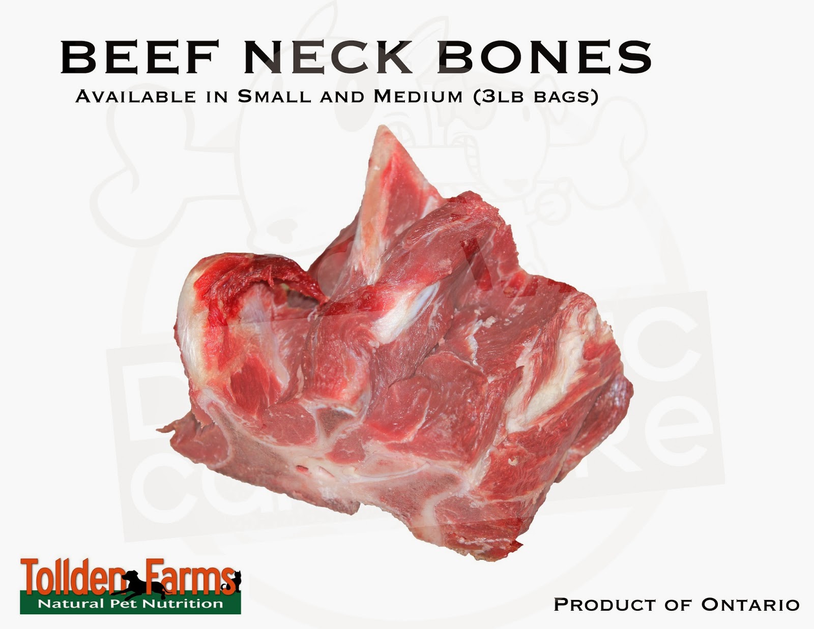 Domestic Carnivore Blog: The Truth on Raw Meaty Bones - Beef Feature