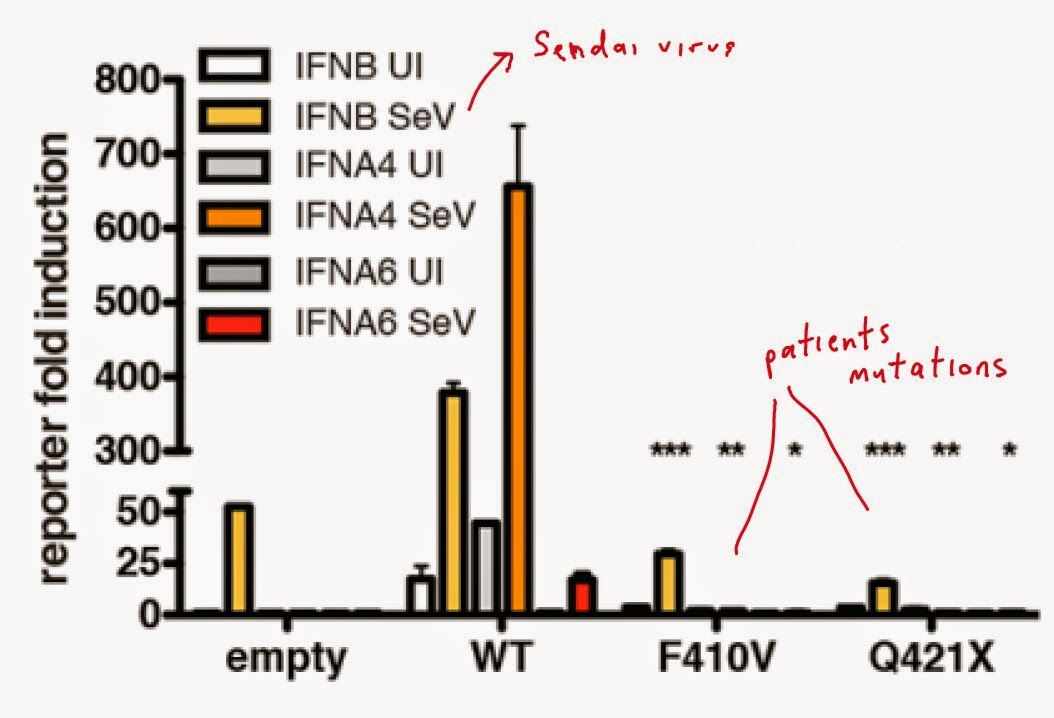Mutation in human interferon regulatory factor-7 (IRF7) predisposes to ...
