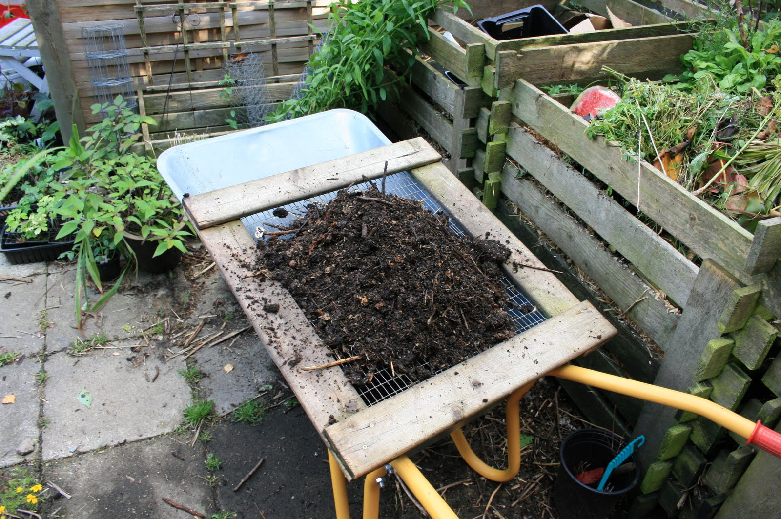 Hanne i haven: Kompost, og lidt blomster.