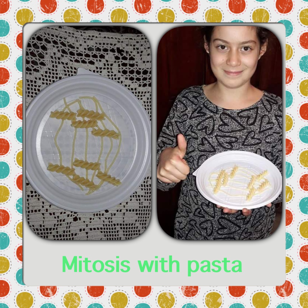 Makassed KSPS: Modeling Mitosis