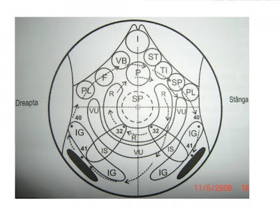 Terapeutul vesel: Ombilicul si organele corespunzatoare din jurul ...