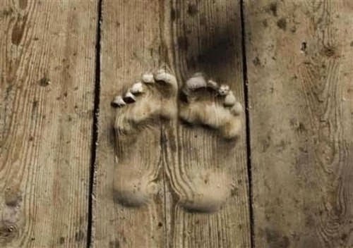 WeirdWood: Praying Chinese Monk Leaves His Footprints Ingrained in ...