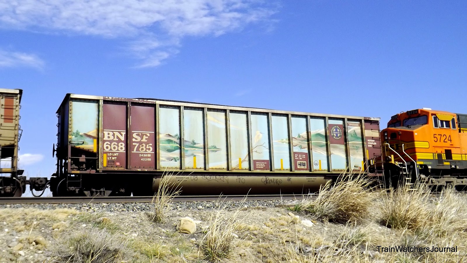TrainWatchersJournal: BNSF Coal Hopper Pastorale
