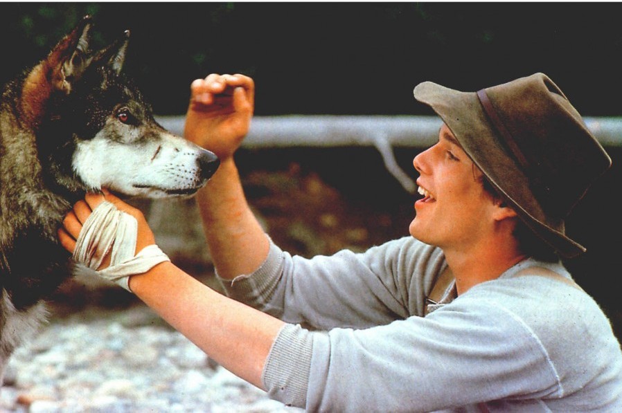 Burbujas de sueño: Reseña (57) Colmillo Blanco. Jack London.