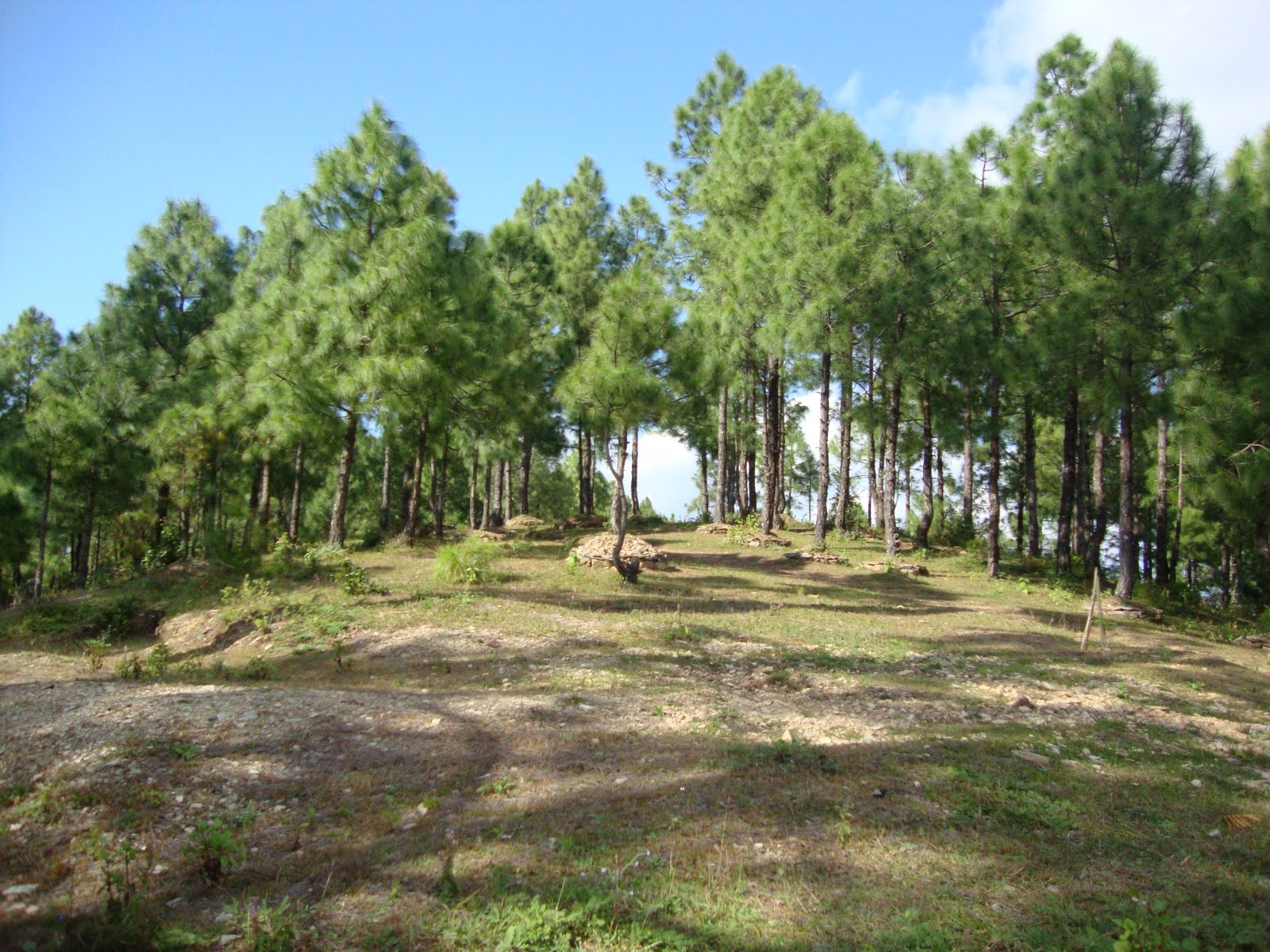 See My Nepal (Photo Blog): Resunga View, Resunga Forest of Gulmi ...