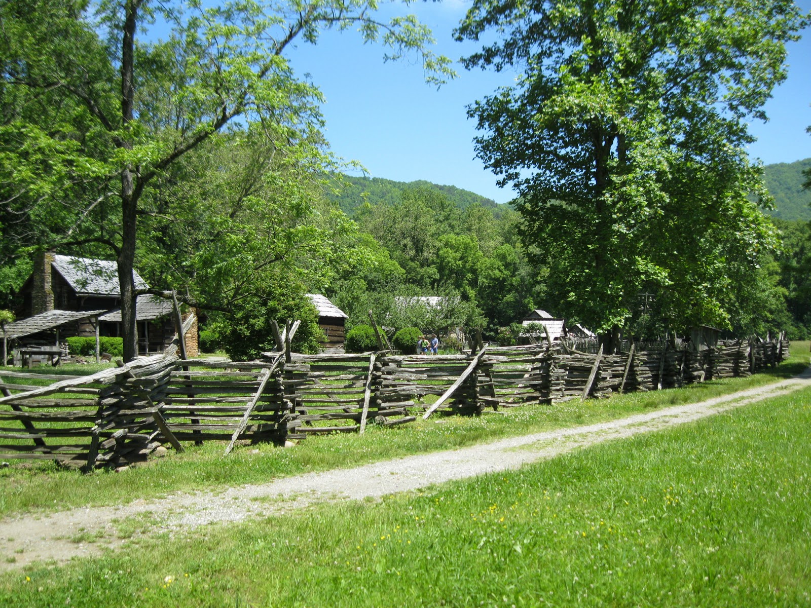 Life's new adventure: My two primary work offices...Oconaluftee and ...