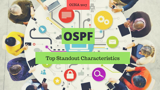 What Is OSPF In Networking- Top Standout Characteristics - learnwow