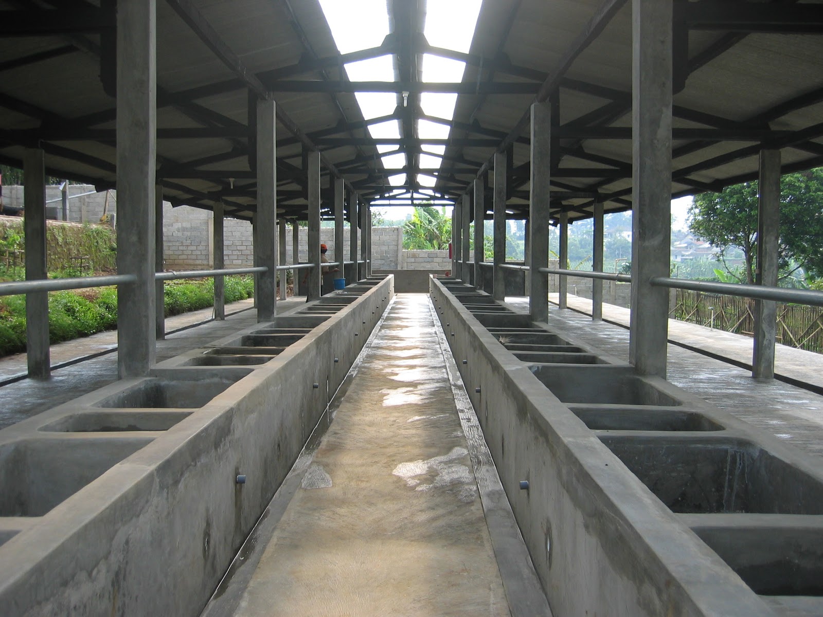 PITA LESTARI : Layout peternakan & pembangunan kandang