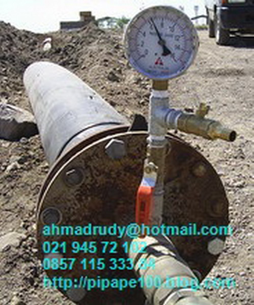 PIPA PE INDONESIA - PPI