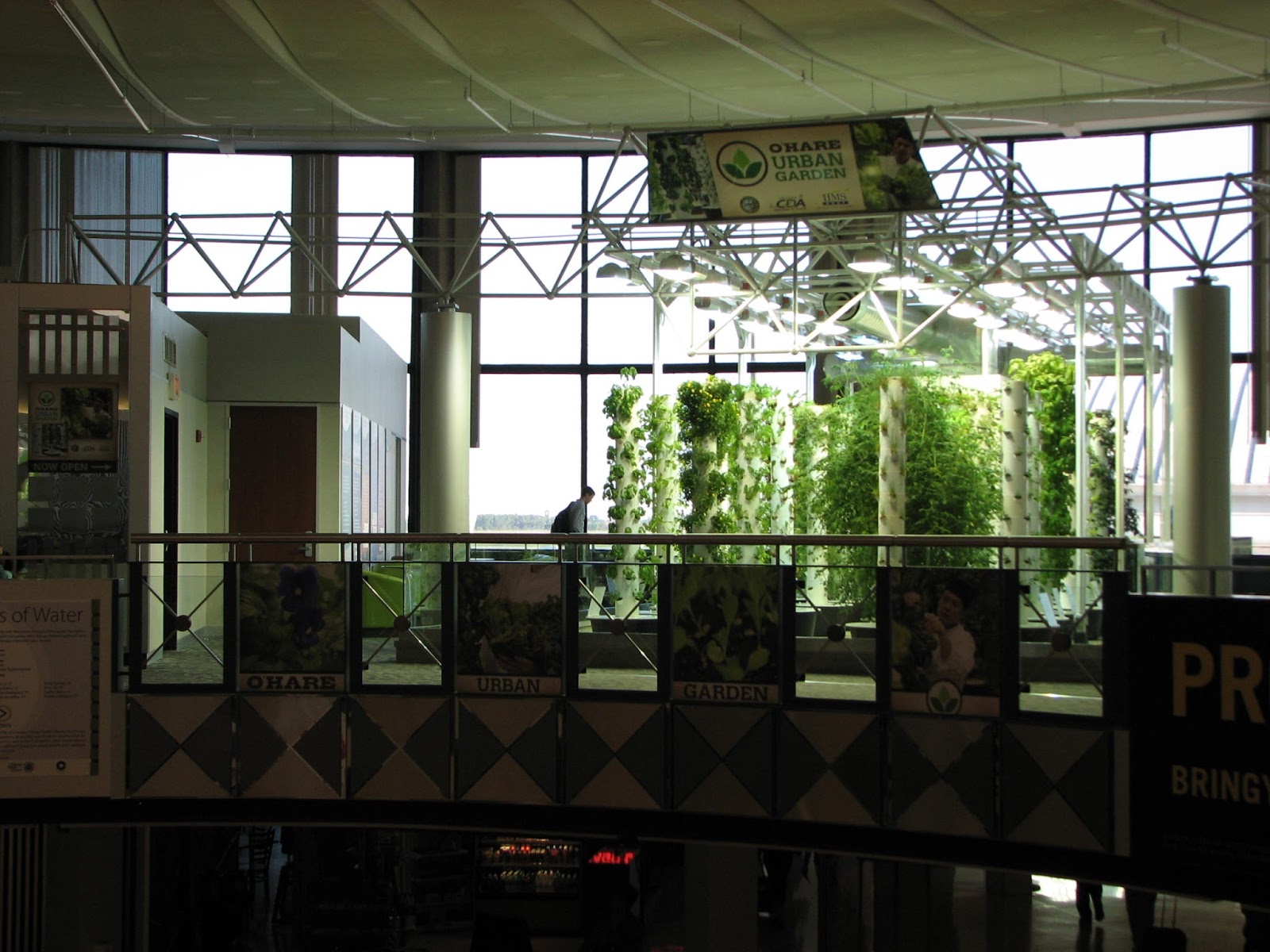 Prairie School Farms: Plant geek: urban garden at O'Hare