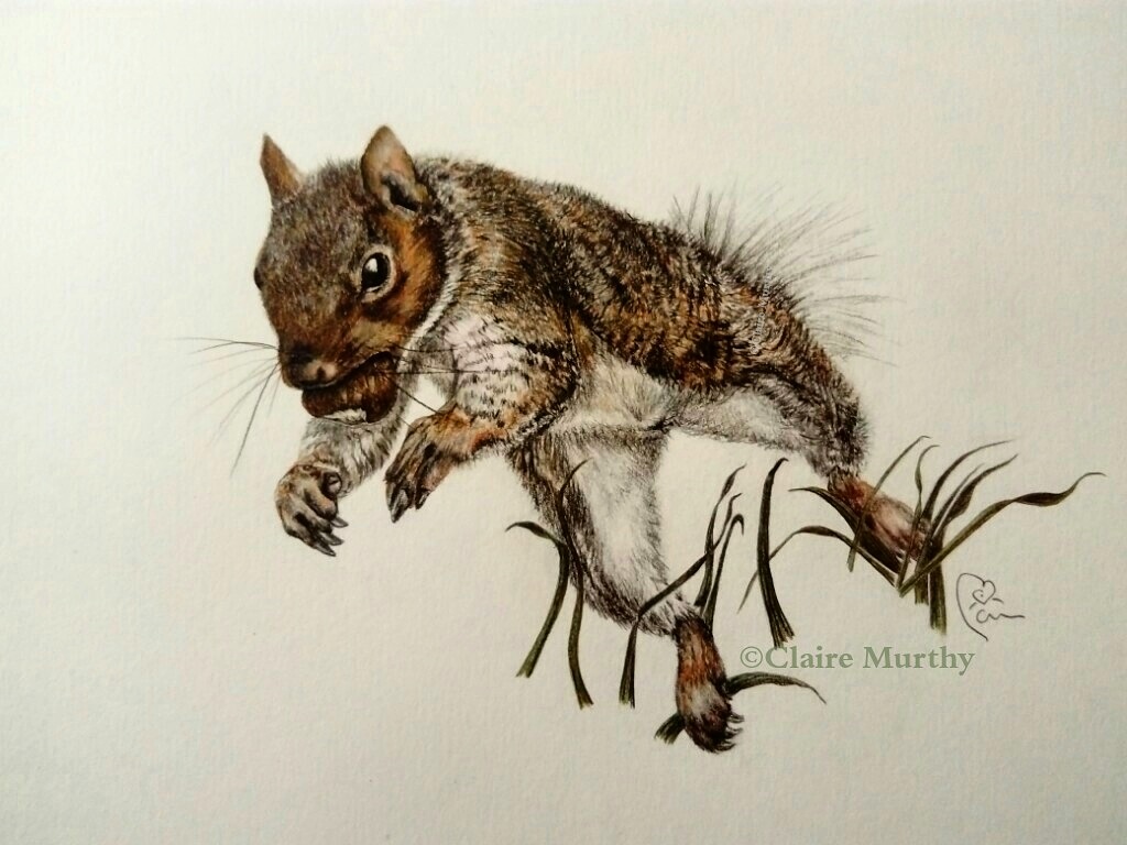 Wildlife Pencil Art