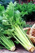 Saderi Untuk Tampil Yakin dan Menarik