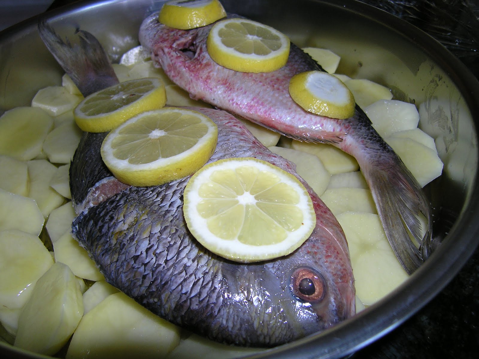 Simposia: Fish Plaki - Ψαρι Πλακι