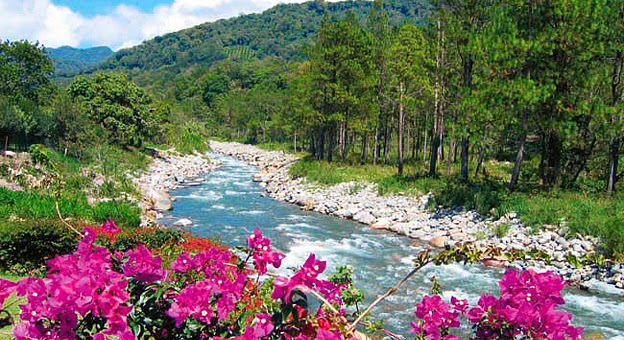 Lugares turísticos en Panamá: fauna y flora de Chiriquí