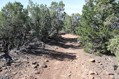 gjhikes.com: Black Ridge