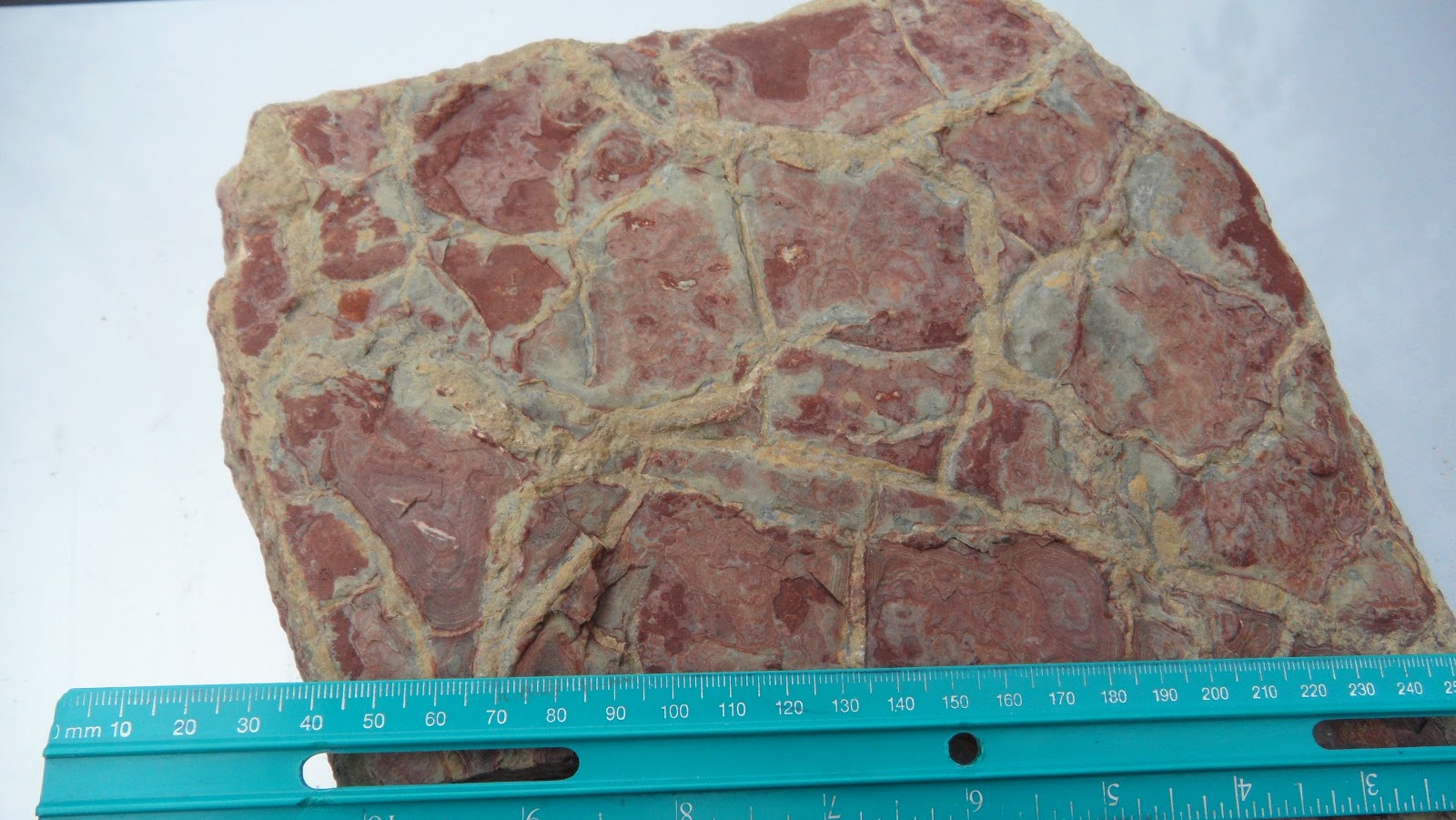 Fossils and Geology of Lanark County, Ontario: Mud cracks, Liesegang ...