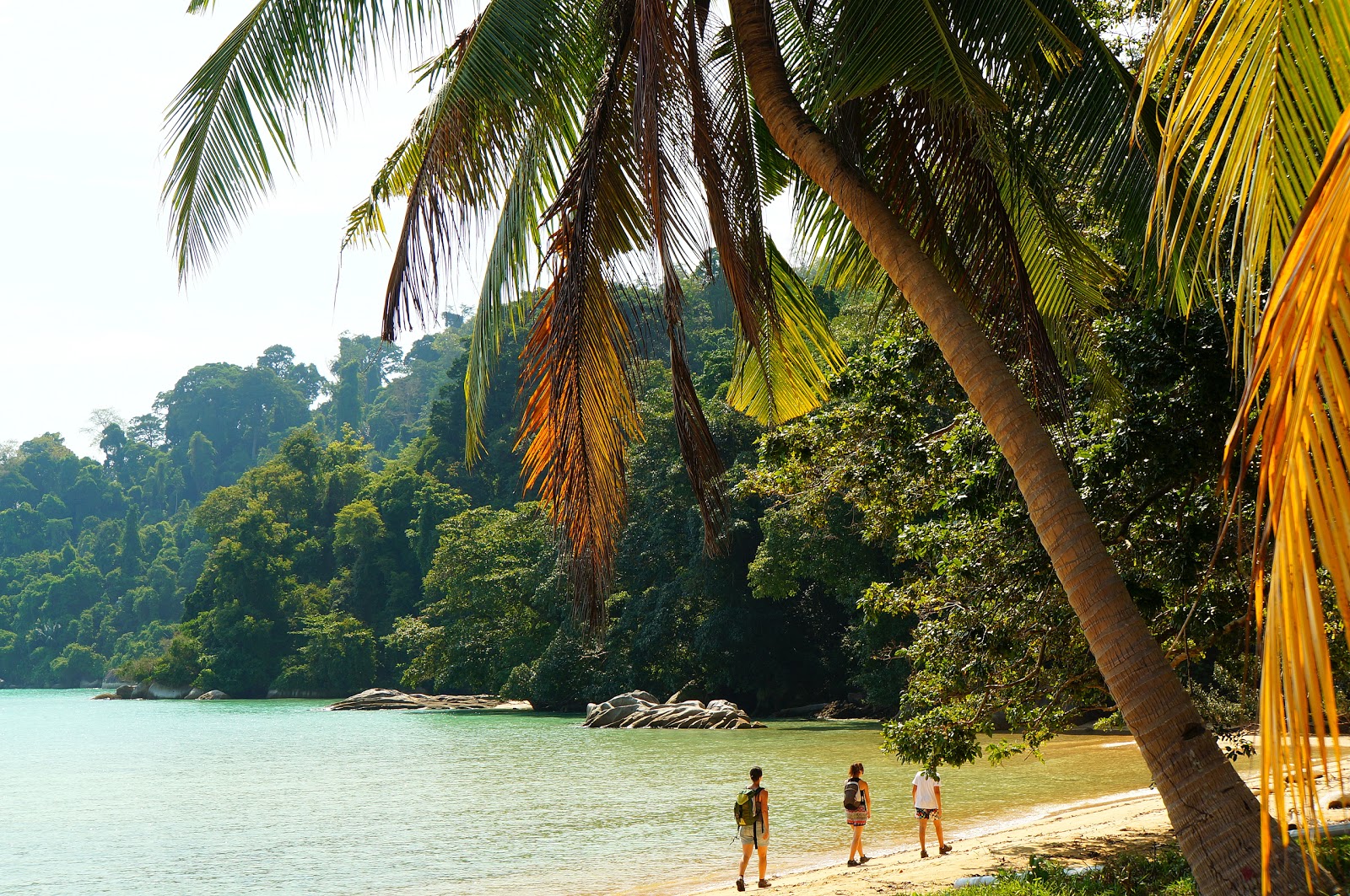 Malaisie - jour 10 : Tioman - Jungle trek vers Monkey Bay - Tekek