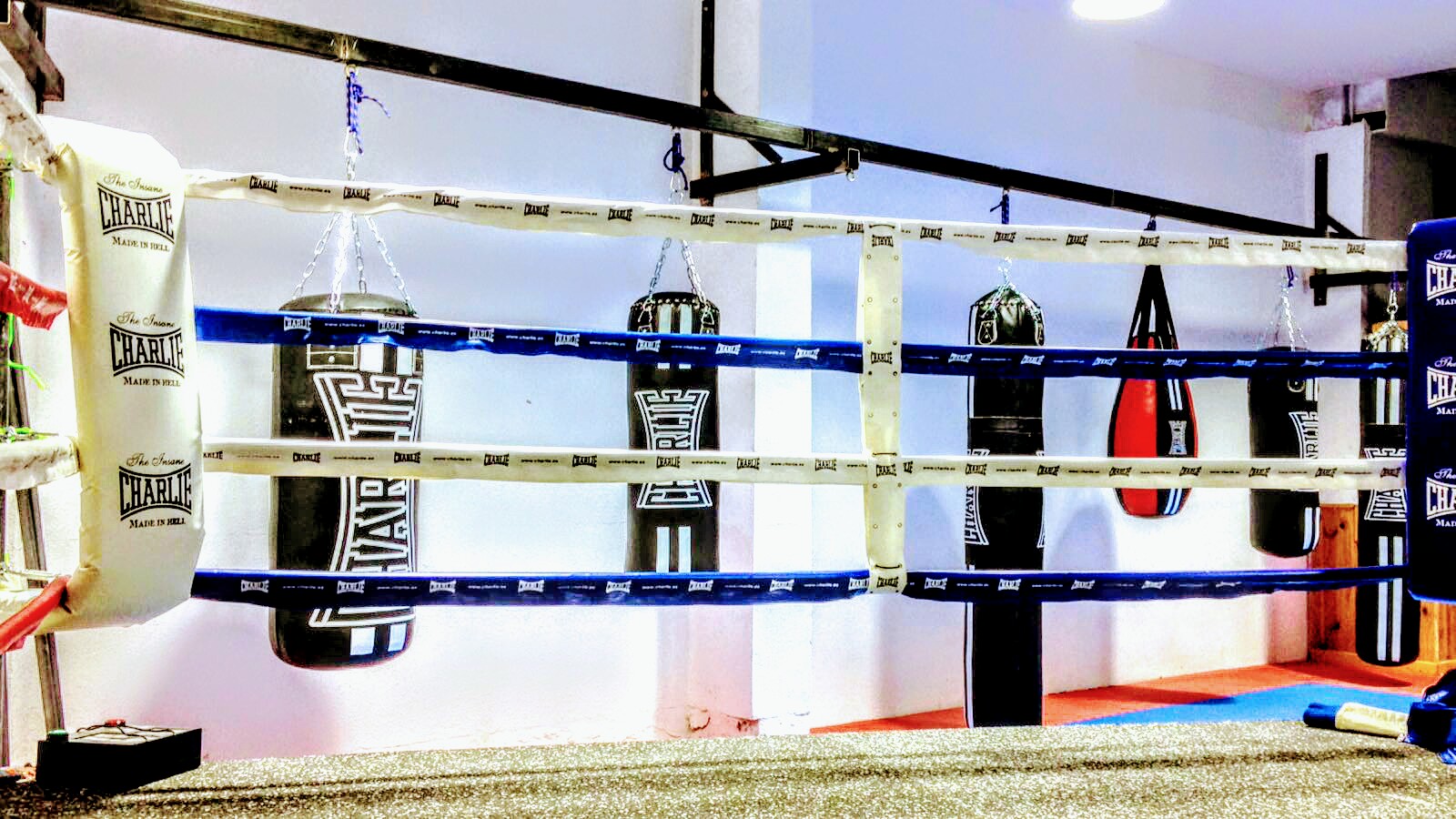 Fitness Vida: NUEVO CLUB DE BOXEO EN MAJADAHONDA "LA ROCA"