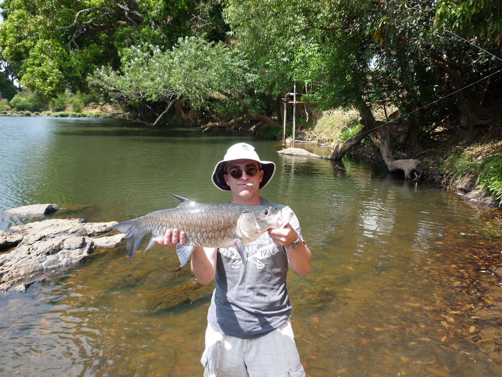 D Heaps fishing adventures: Carry on up the Jungle. Mahseer fishing in ...