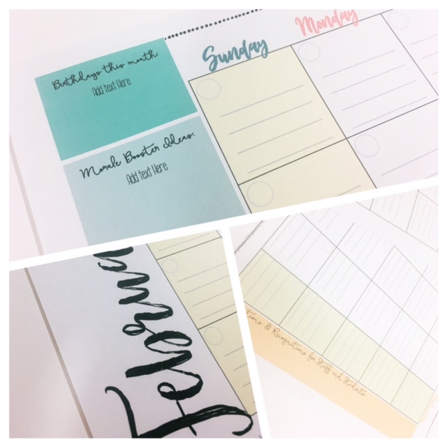 Create An Administrator Binder- Principal, Assistant Principal ...