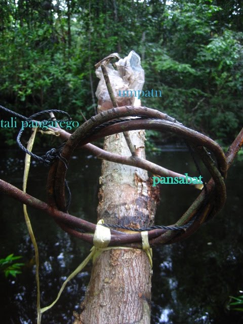 PAK ONYAL™: Perangkap Biawak(Monitor Lizards trap)