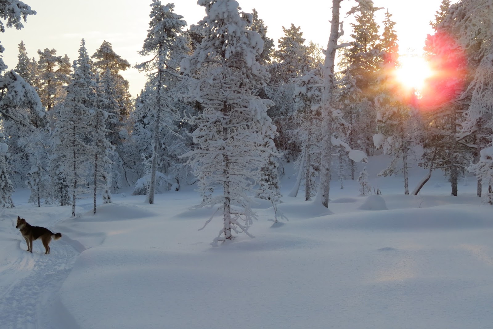 Maahisten maasta: Helmikuun tunnelmia