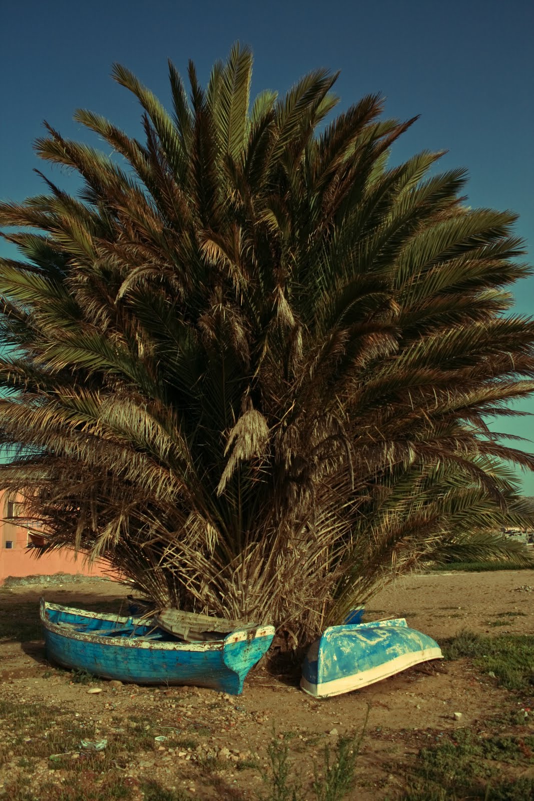 Shaka Shots: Morocco: Landscape