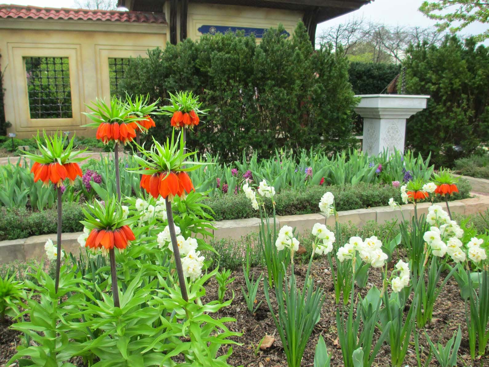 Garden Fancy: Garden Visit: Bulb-tacular MOBOT