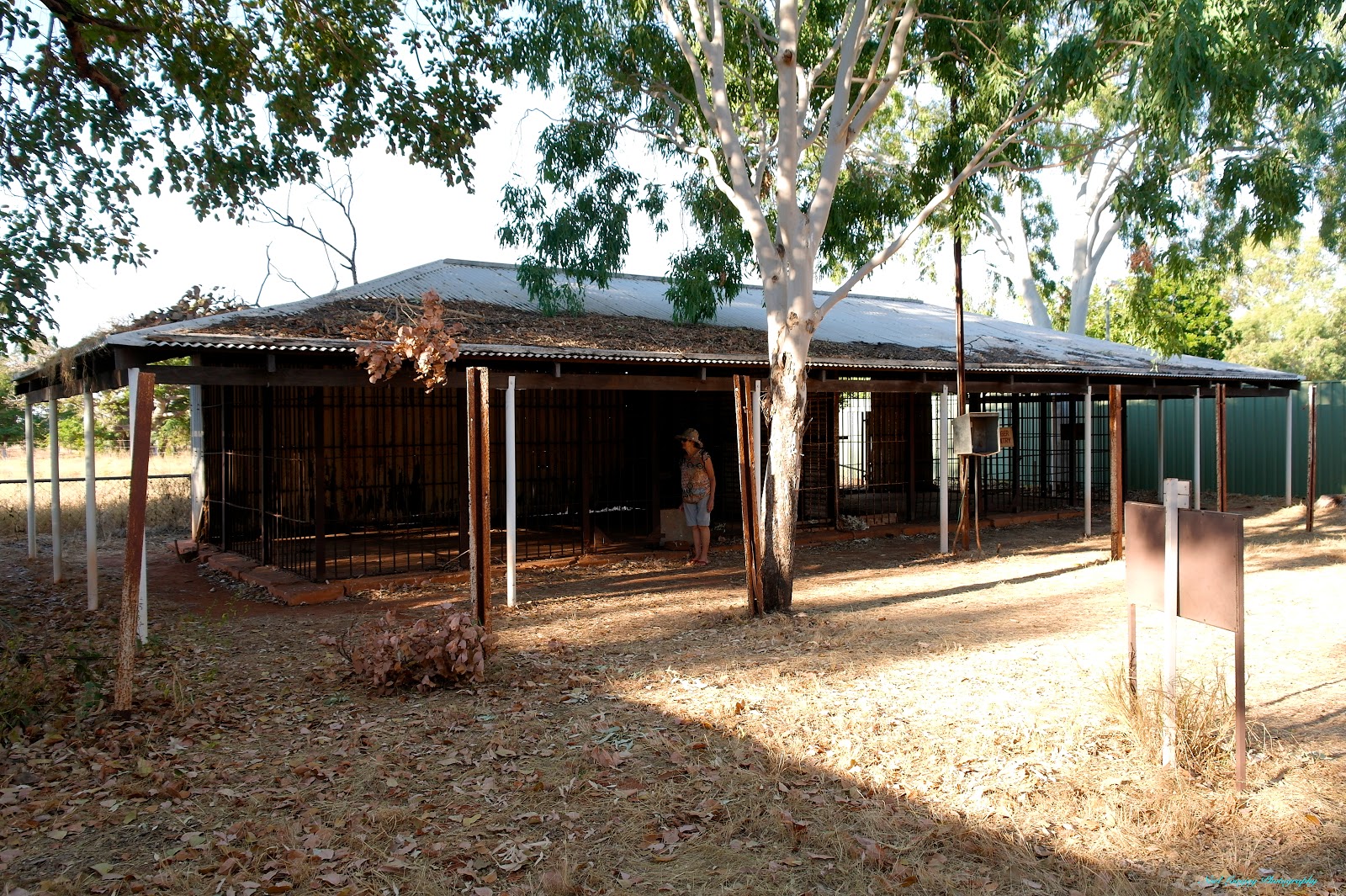 Can Go Around Australia: Derby, WA.