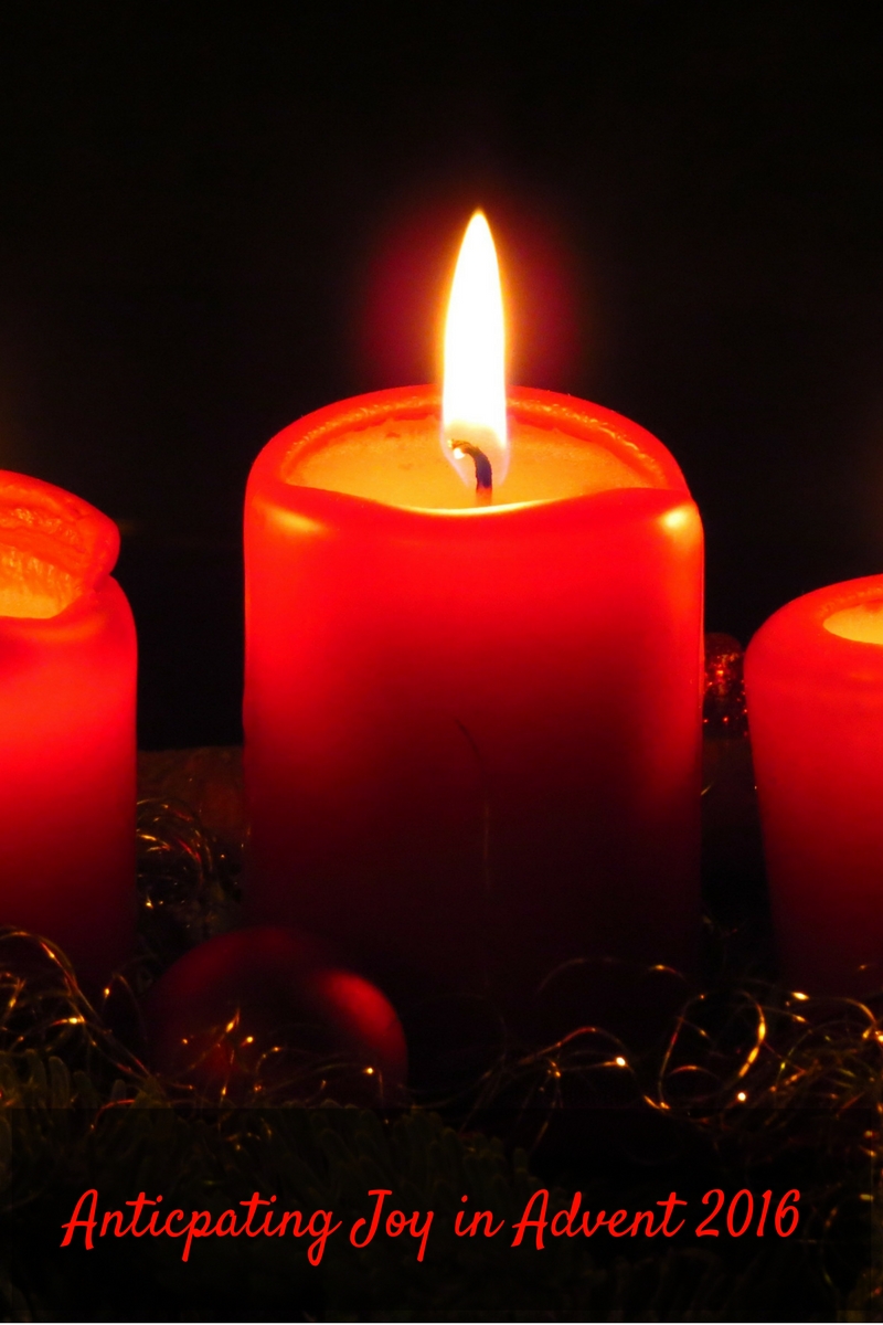 Life of a Catholic Librarian: Anticipating Joy: 1st Week of Advent