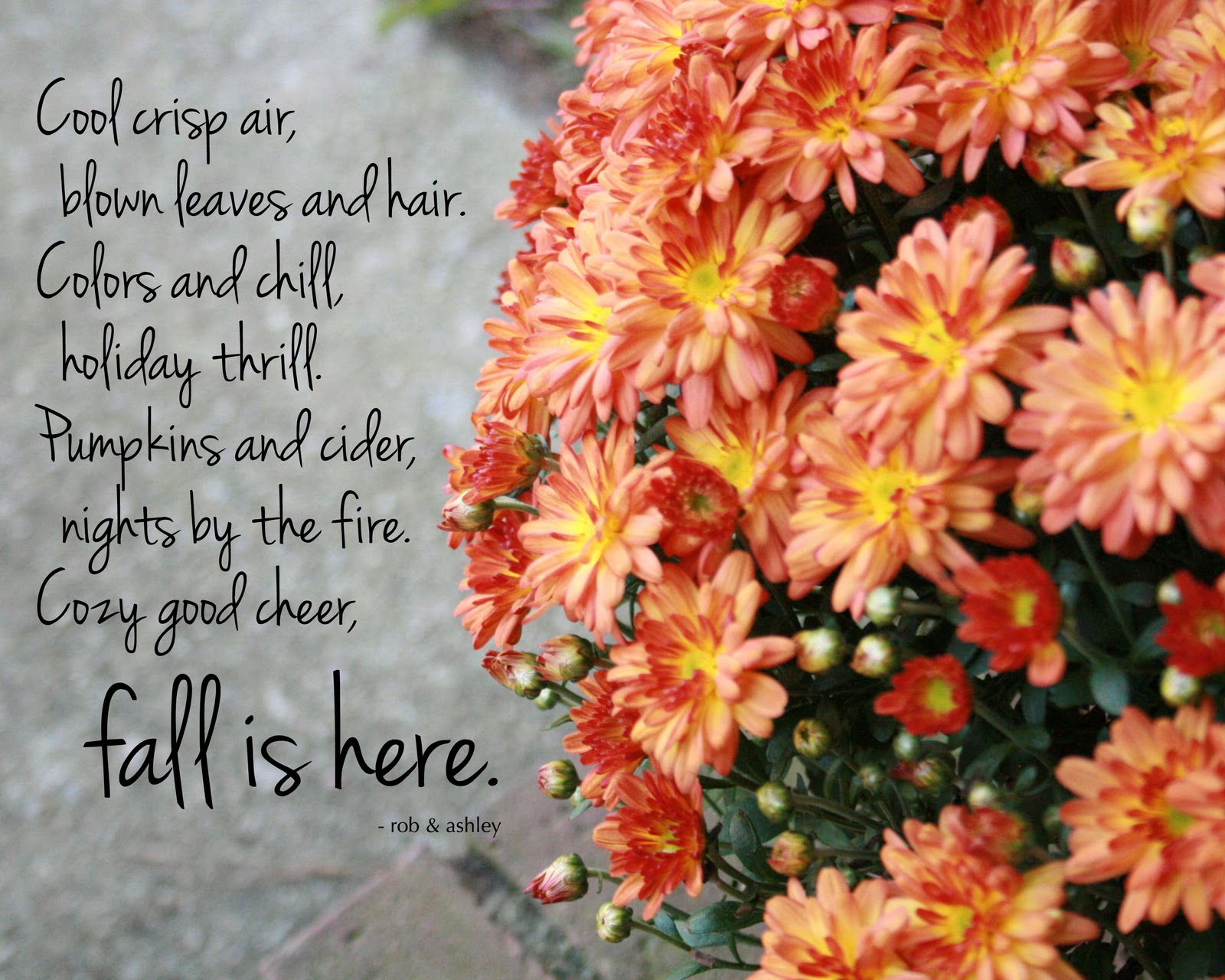 The Creative Place: Fall is Here.