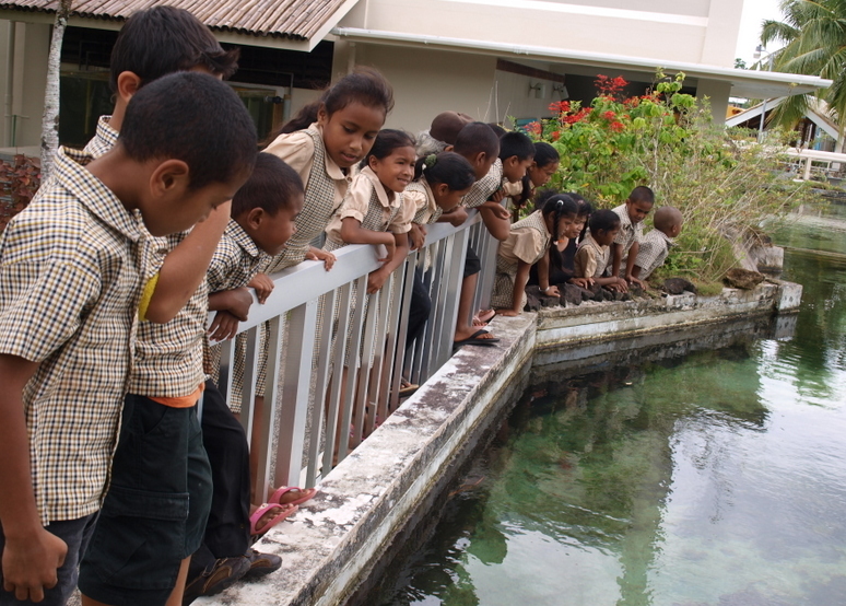 Micronesia Challenge: Welcome to The Young Champions of Palau