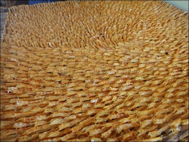 sarikei: Sesar unjur..