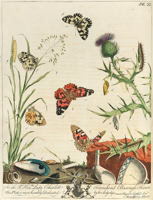 300+ Years of Color Theory: The Natural System of Colors