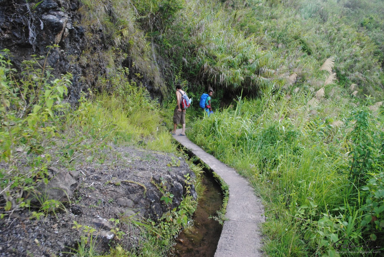Tara Gumala: Travel Guide to Buscalan Village, Kalinga