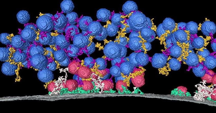 A New Map of Wonders: A hyperobject in the head