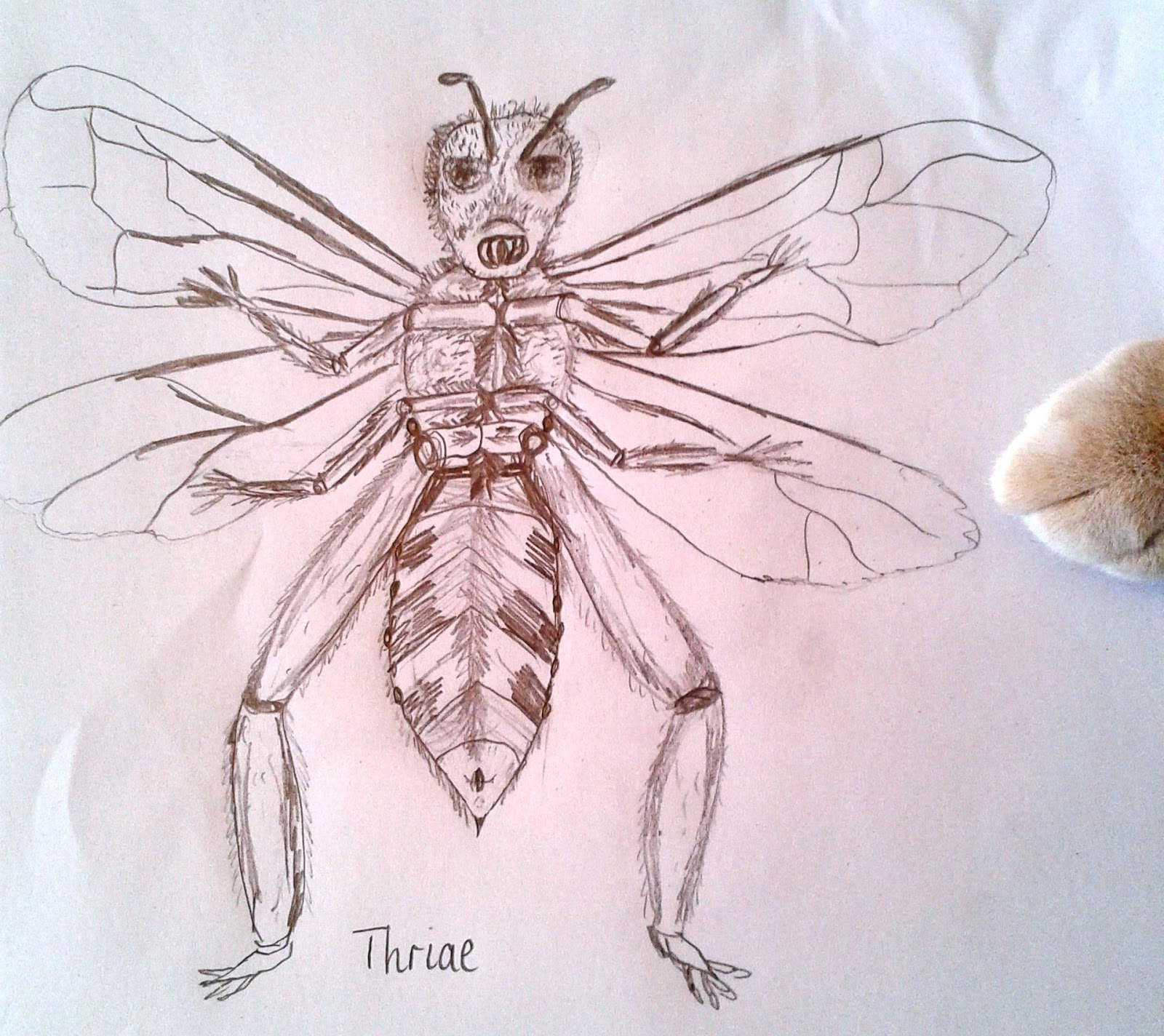 Magical Gains: Making Myths Real III - creating the Thriae.