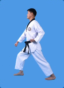 Taekwondo: Some Block in Taekwondo