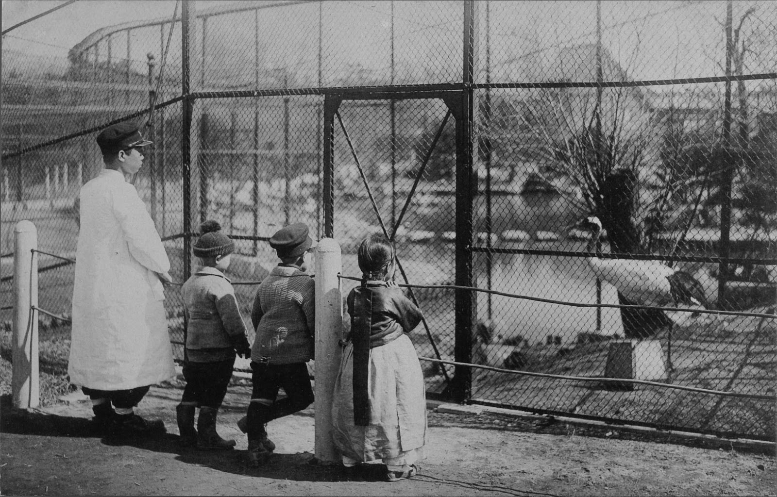 Capt Jang: [Cap.Jang History] Japan colonial period of Korea (朝鮮、日本帝国合併期)