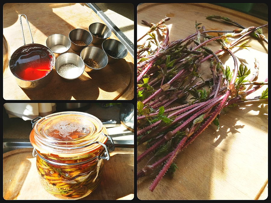 IrishBeerHistory: Food: Recipe - Pickled Hop Shoots