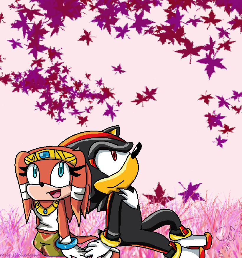 Shadikal: Shadow and Tikal 4