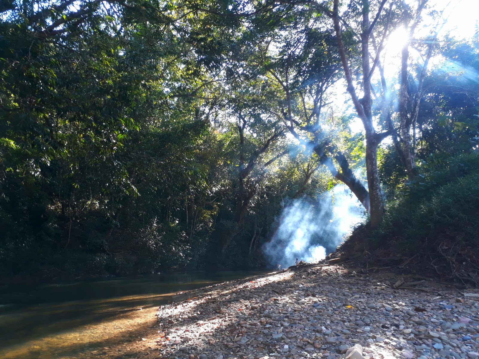 ~Anglers Belong~: Ensurai..The Ent of Borneo