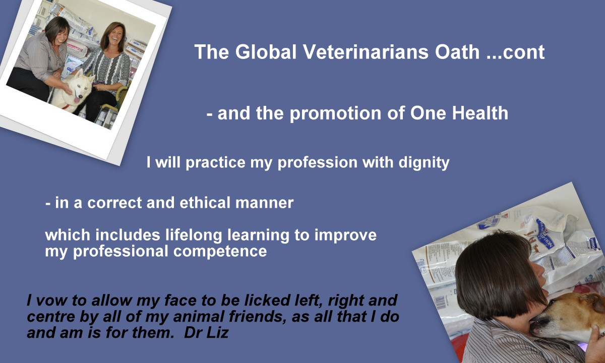 Dr Liz... the mad vet from Russell Vale Animal Clinic: Musings of Dr ...