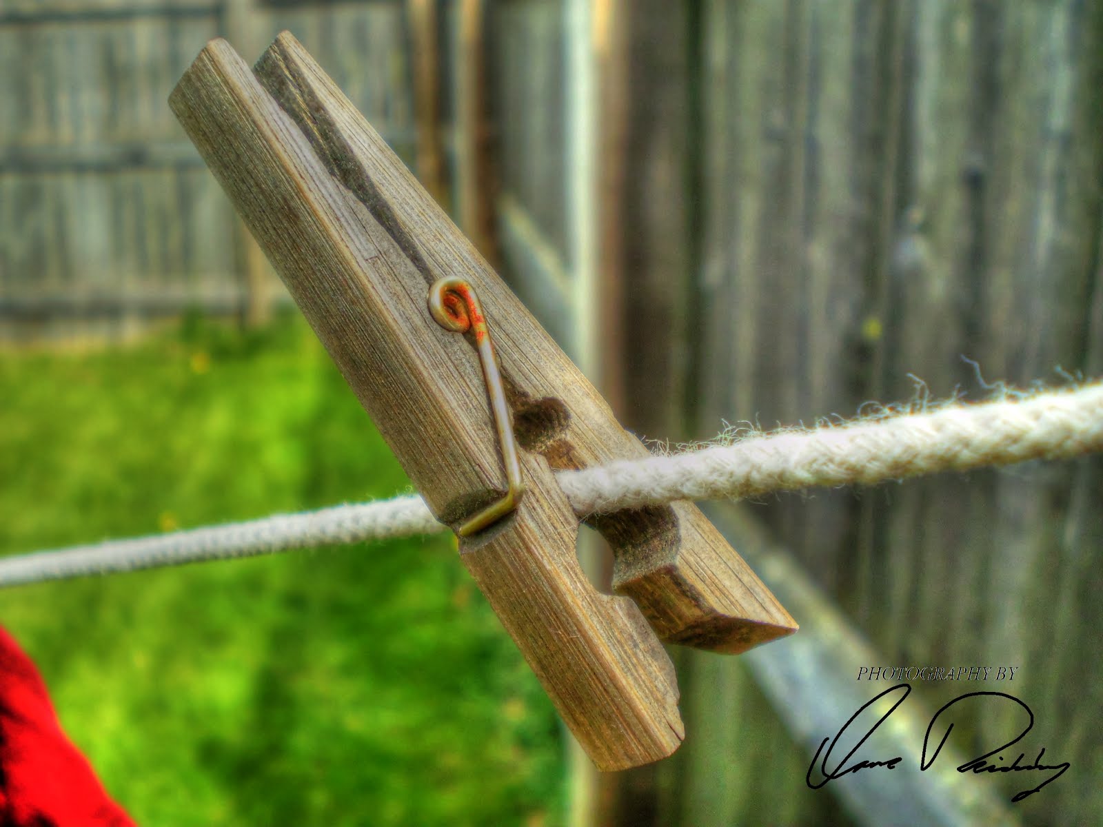 Photography by Issaac Rickenberg: Pinned