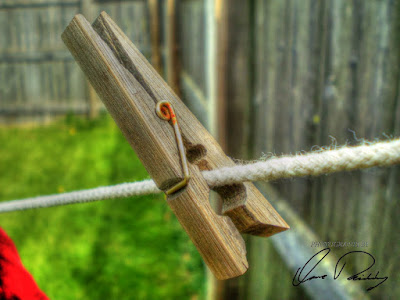 Photography by Issaac Rickenberg: Pinned