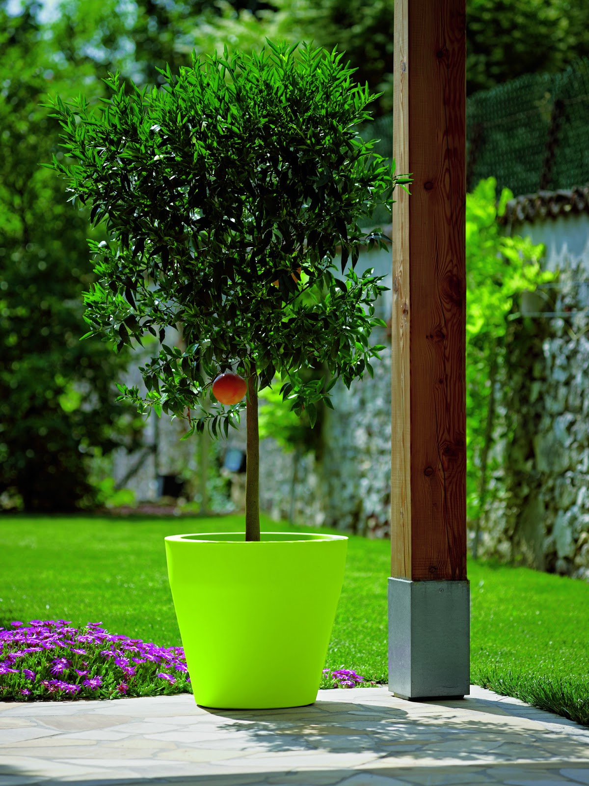 Finest Quality Innovative Italian Planters: Exclusive Designer Planters ...