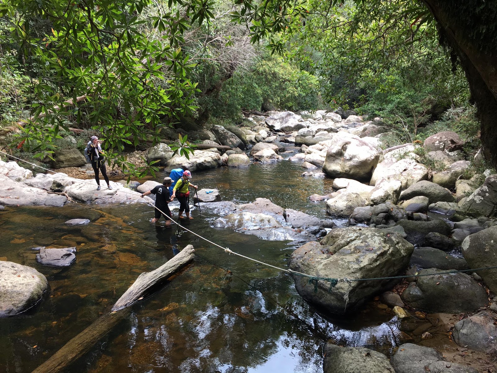 How I Tahan-ed (Endured) Mount Tahan for 4D3N (Merapoh-Merapoh trail ...