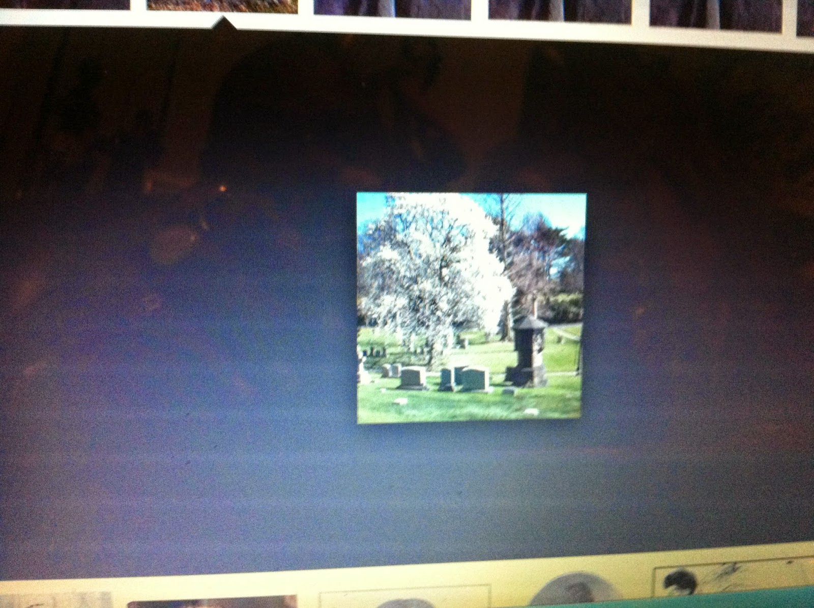 THE BLACK SOCIAL HISTORY:: BLACK SOCIAL HISTORY : AFRICAN AMERICAN ...