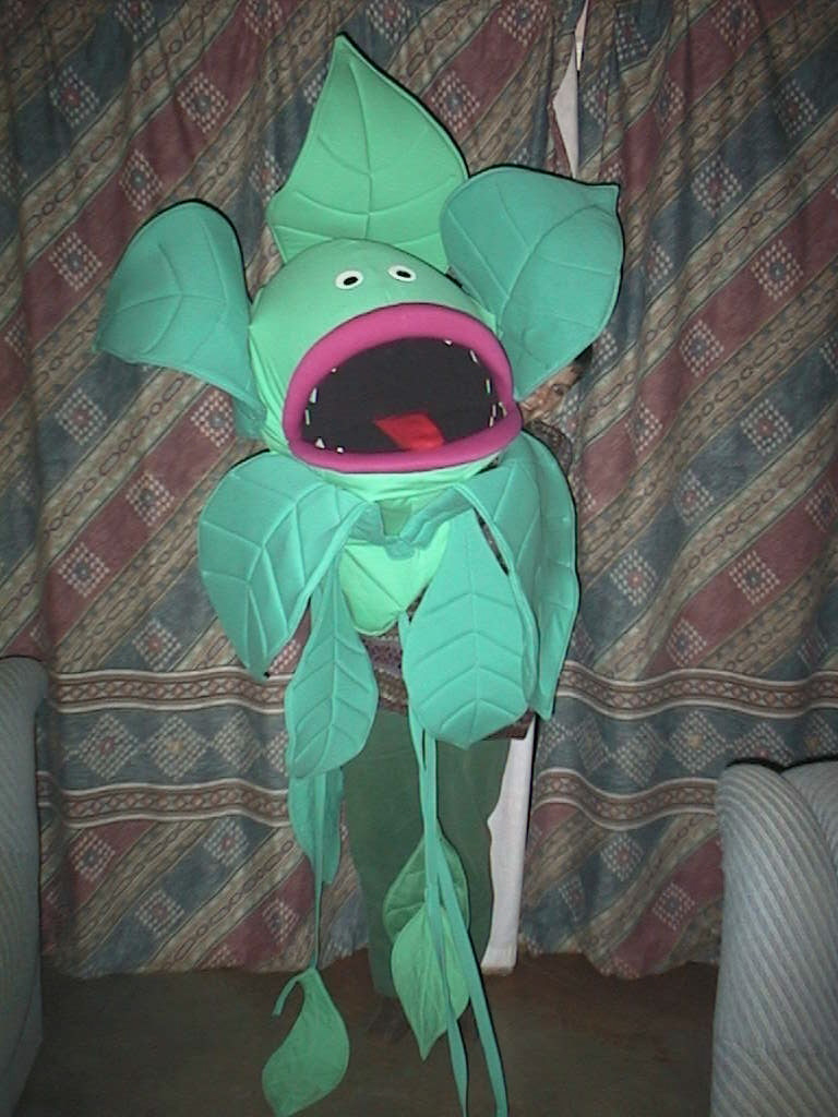 DIE BYBELBOEKWURM (vir Kinderkerke): ESMé WALKER: KUNSTENAAR