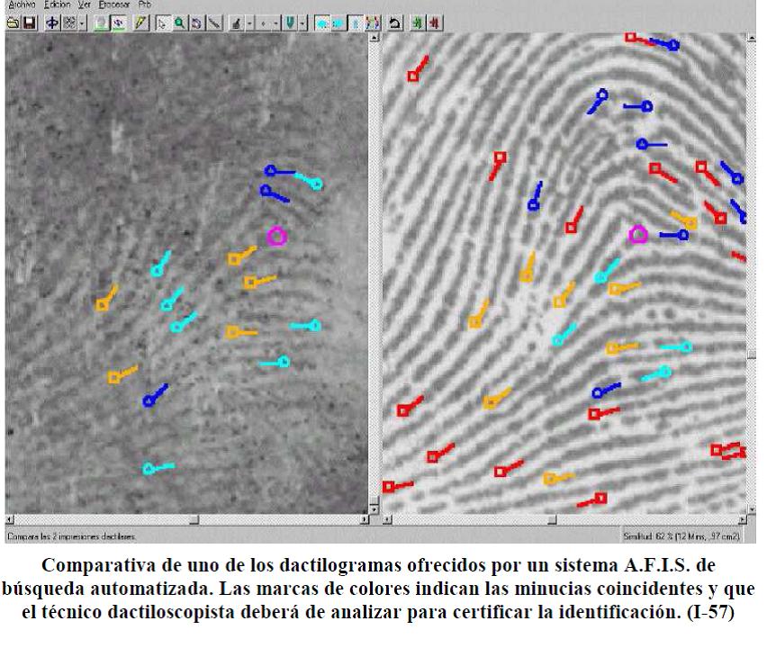 INSIGNIAS ONLINE: LA DACTILOSCOPIA